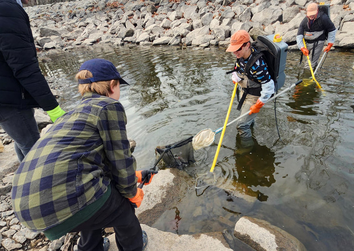 More than 600 fish, including six eels, discovered in small pools left ...